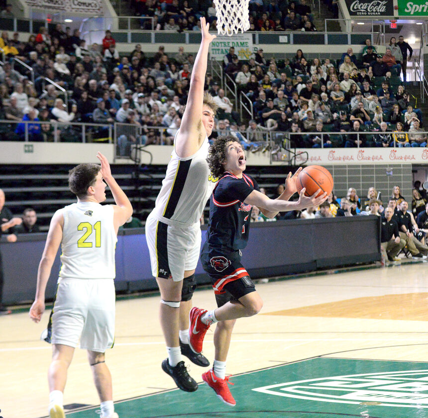 Big Red rolls to district title and advances | News, Sports, Jobs - The ...